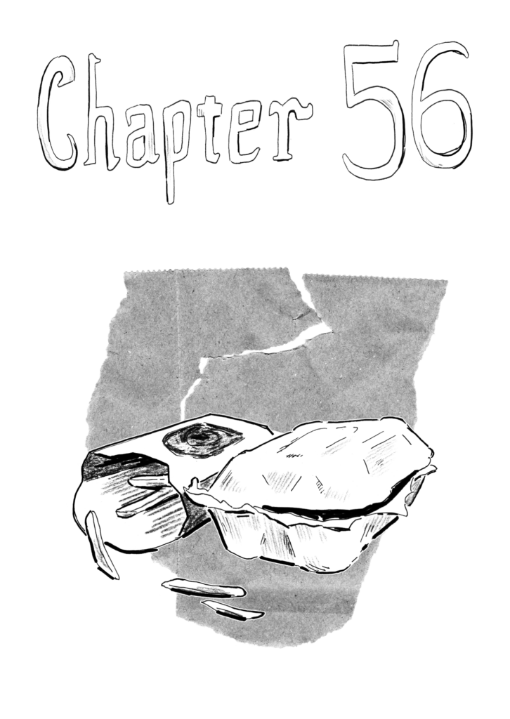 Chapter 56 p852 – The Bright Side